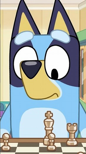 Chilli's life lesson 🧡💙 #shorts