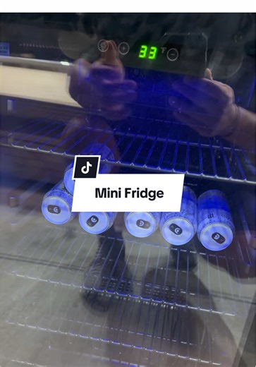 Mini Fridge Ideas for Your Garage or Man Cave