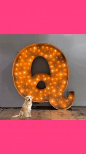 FOR SALE. This classic vintage metal channel letter will give you and your space hours of enjoyment and conversation. It can animate or be all on. Inquiries into owning this vintage beauty please contact BAZ @platform9vintage. #forsale #VintageSignForSale #Vintage #VintageLetter #VintageBulbLetter #Q #TheBigQ #SignCollector | Heaven or Las Vegas