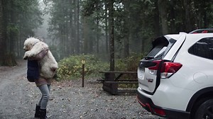 1.5K reactions · 196 shares | The all-new 2019 Subaru Forester® with Power Rear Gate available. Handy when you've got an armful of something (or someone). | Subaru of America, Inc. | Facebook
