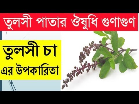তুলসী পাতার উপকারিতা ও গুণাগুণ,যেসব রোগ সারাবে তুলসী পাতার রস,Tulsi Benefits in Bangla,eHealth BD
