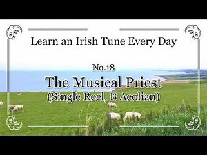 018 The Musical Priest (Single Reel, B Aeolian) Learn an Irish Tune Every Day.