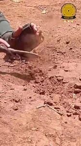 510K views · 10K reactions | ဖယ်ခုံ၊ မိုးဗြဲမှာ ပေါက်ပြား၊...