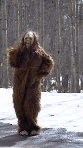 24K views · 390 reactions | Spring Break has got our Pikes Peak Bigfoots going wild! #DrivePikesPeak | Pikes Peak - America's Mountain | Facebook