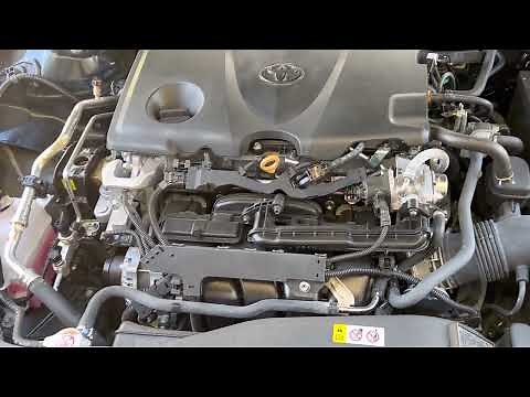 2018-2024 Camry 2.5L (A25A-FKS) Normal Cold Startup Sound