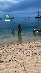 3.4M views · 10K reactions | Vacationing in Australia is not for the weak  藍 | Furry Tails | Facebook