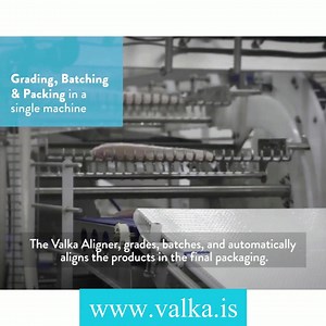 The next time you purchase a fish fillet at a grocery store, chances...