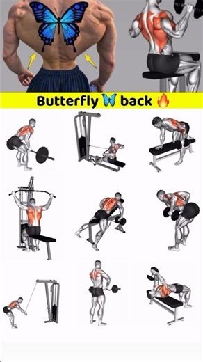 Butterfly 🦋 back workout #dumbbell #motivation #gymworkout