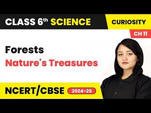 Forests - Nature's Treasures | Class 6 Science Chapter 11 | CBSE 2025-26