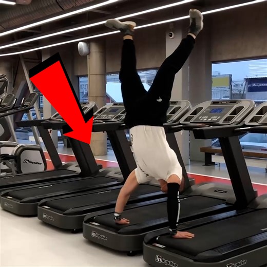 Struggle For Balance, Celebrate The Wins!⚖️🔥 | David A.R. White