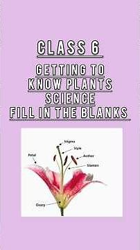 Getting to Know Plants | fill in the blank Parts of a Plant, Types & Functions | Class 6 Science