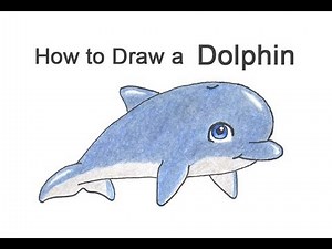 How to Draw a Dolphin (Cartoon)