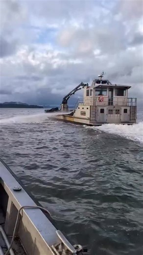 Our Samish Bay crew transplanting some oysters 🦪✨ | Taylor Shellfish Farms