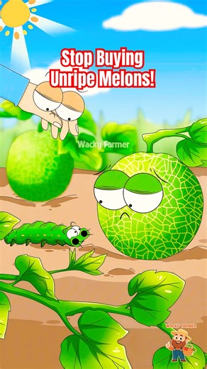 Stop Buying Unripe Melons! Check This First 👇 #shorts #animation