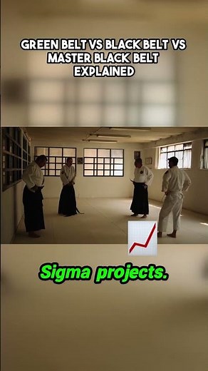 Green Belt vs Black Belt vs Master Black Belt Explained