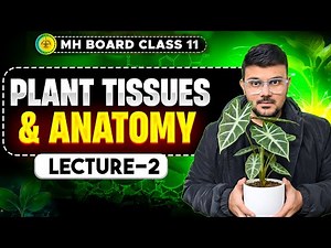 Xylem and Phloem | Plant Tissues & Anatomy Class 11 Biology | Maharashtra Board | Full Lecture 2