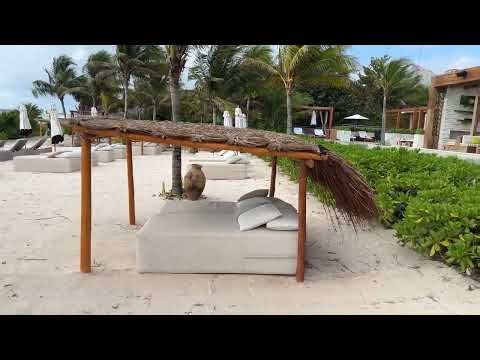 Vidanta Riviera Maya The Beach Club