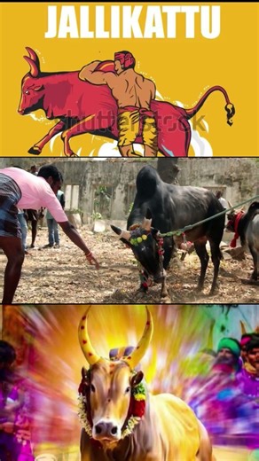Meaning of Jallikattu! #history #tamil #shorts