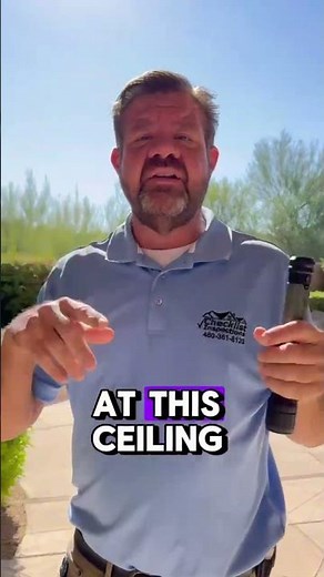 Termite Inspection Explained 😝