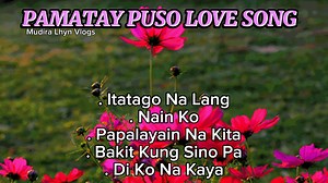27K views · 351 reactions | Pamatay puso love songs / Cover Song...