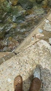 101K views · 3.7K reactions | Time to reconnect with nature  | LIVIN | Facebook