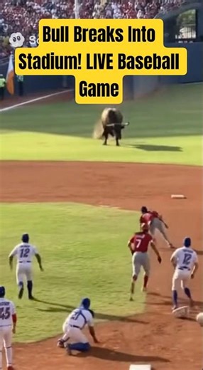 LIVE: Bull Destroys Fence and Attacks Players — Unreal!