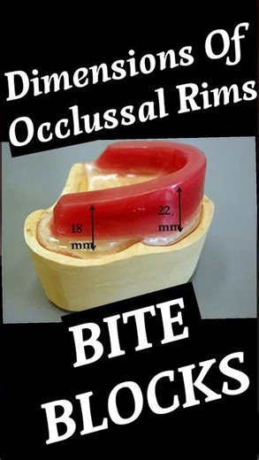Dimensions Of Occlussal Rims | Bite Blocks #shorts #explore #denture