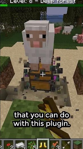 The Best Minecraft Plugins for 2025!