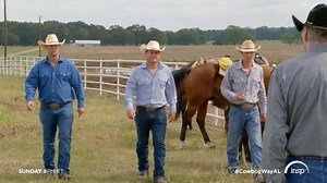 14K views · 183 reactions | This week, we're getting down to business. Let's make some money. Don't miss our brand-new episode, Sunday at 8PM ET. | Western Bound | Facebook