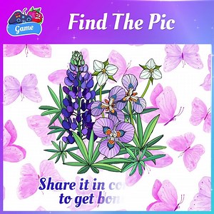 Hello, Happy Color fans!🌟 A fun game today! Take a look at these beautiful flowers – can you tell what picture they belong to? Find the picture in our app and share it in the comments to get lovely bonuses!🎁 | Happy Color - Color by Number