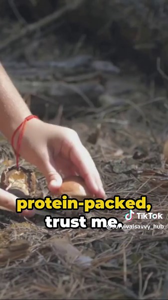 Survival Cooking in the Wild! 🍳 #BushcraftCuisine #ShortSurvival #cleanwaterhacks #EmergencyPrep #ShortFormSurvival #mindovermatter #mindovermatter #SurvivalSkills