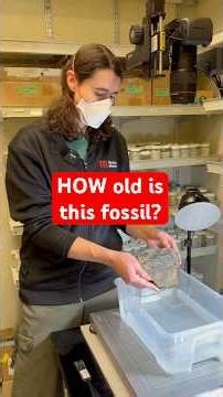 HOW old is this fossil?
