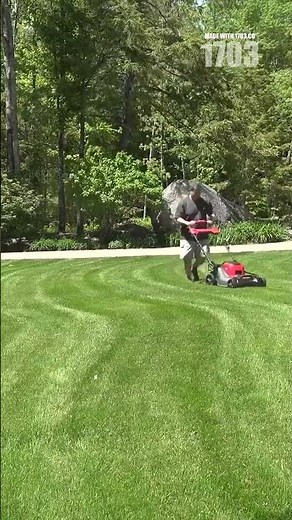 DIY $20 Lawn Striping Kit: Professional Results Without the Cost