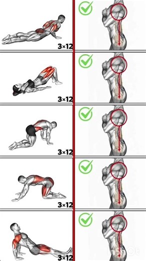 Flat Belly & Strong Core in 7 Days 💪 | 5 Best Core Exercises”