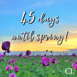 1.2M views · 30K reactions | The countdown is ON! | Country Living Magazine | Facebook
