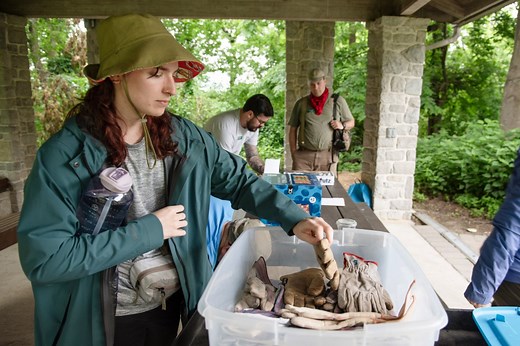 Programs & Events at Wildwood Park