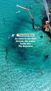 3.1K reactions · 290 shares | So close to the Gulf Stream, the water...