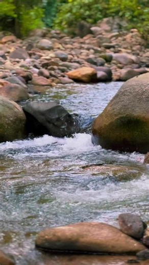 Healing Vibes #healing #naturehealingvibes #lovenature #sungai #viral #campingsite #camp #nature #airterjunviral #santaisantai #fyp #cinematichutan #familytrip #relaxandchill #naturecinematic #videotentangalam #familygathering #healingvibes