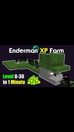 W XP Farm in Minecraft: Boost Your Gaming Experience