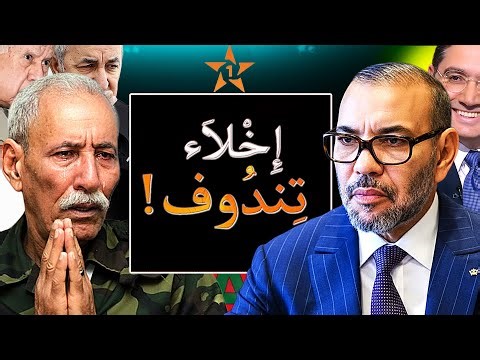 شنو واقع في الجزائر؟ وعلاش الملك محمد السادس أصدر تعليمات عااجلة حول قضية الصحراء المغربية 🔥❗