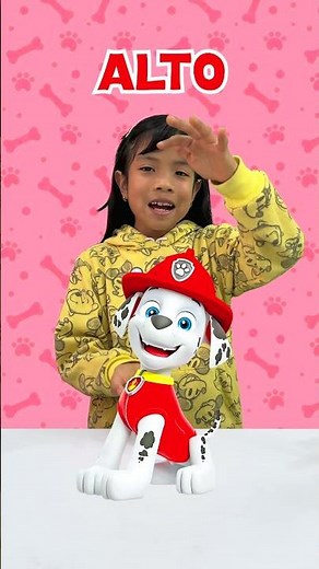 Playing and Learning with Paw Patrol: The Antonine Words - Children's Videos - #learning