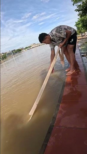 A cast net fishing traditional trap in the village #shorts
