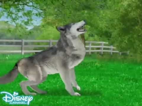 “Huff and puff song” instrumental #CapCut