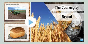 The Journey of Bread PowerPoint