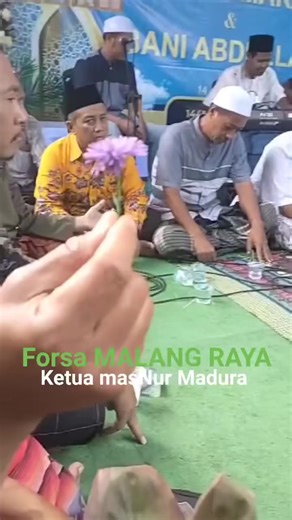 #forsa #soneta #rhomairama #rhomairama_sonetagroup #fypage