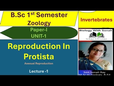 Reproduction In Protista || Asexual Reproduction In Protista || B.Sc 1st semester #zoology #protista