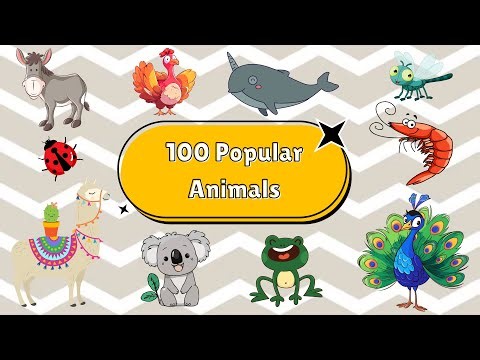 100 Popular Animals: Animated Picture Dictionary | English Vocabulary for Kids
