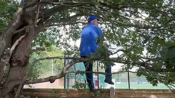 Football club exiles fan, 58, to watching their matches from a nearby tree