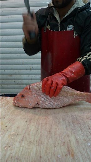 Red Snapper Fish Cutting at Fish Market – Super Sharp Knife Skills!