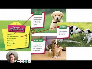 Nonfiction Text Features (Table of Contents & Headings) 11/9